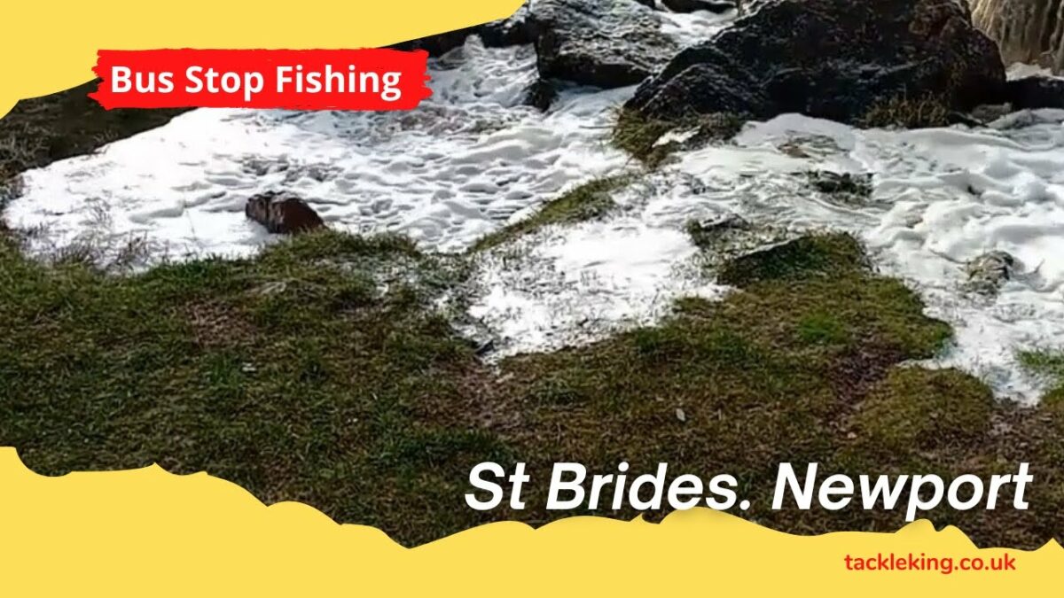 St Brides Sea Fishing – Bus Stop Fishing – Tackle King