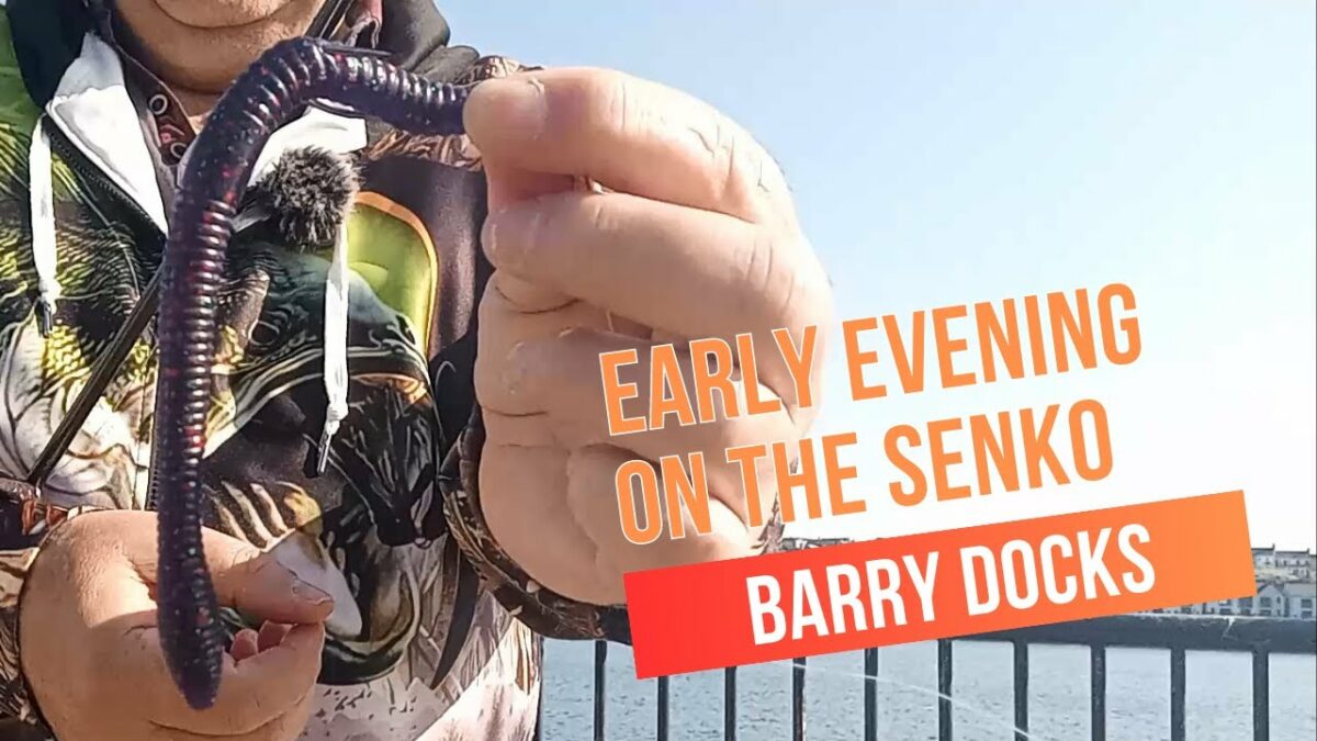 Early evening fishing at Barry Docks – Tackle King